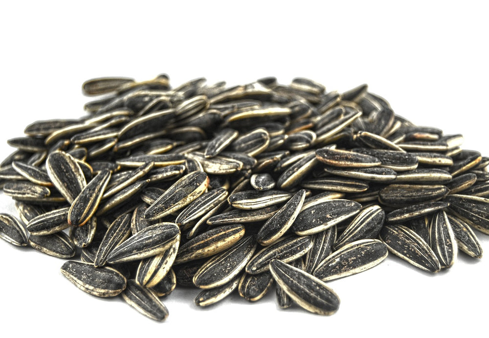 Sunflower Seed Myths Debunked: What You Need to Know