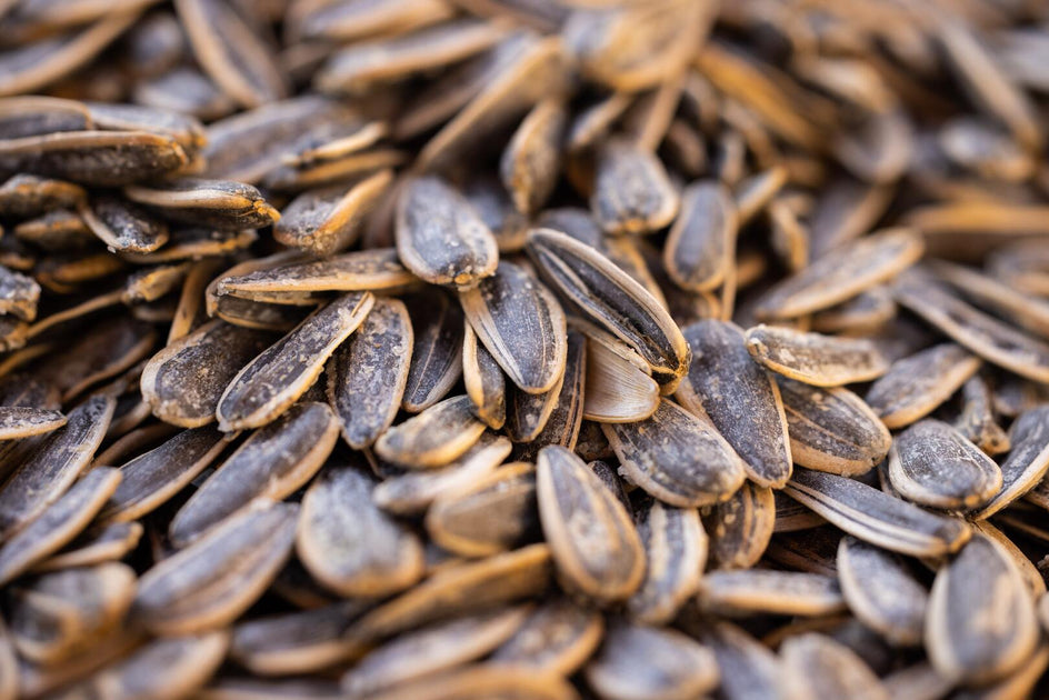 Sunflower Seeds Are More Than Just A Snack, And These 8 Recipes Prove ...